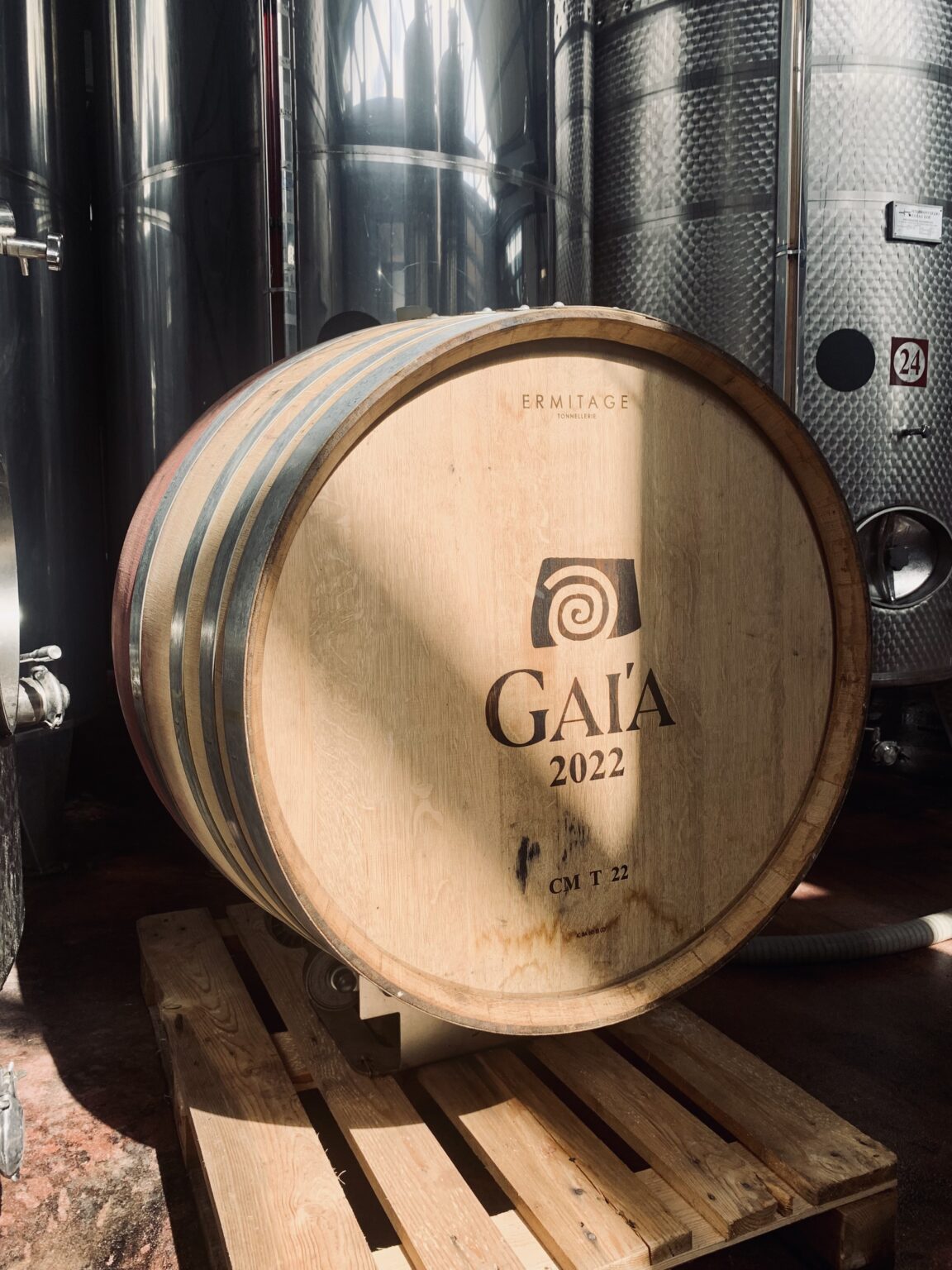 Exclusive Greek Wine Tasting - Loki Wine Bar & Tasting House